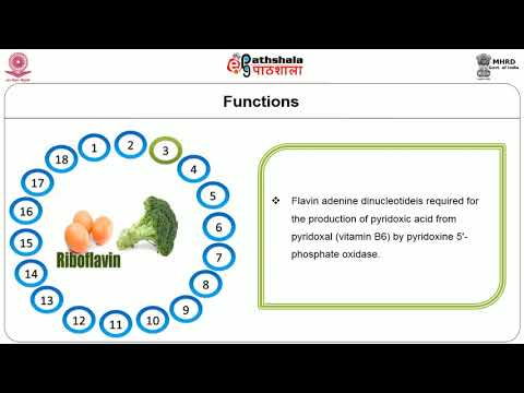 RDA,requirement,functions, deficiency diagnosis,assessment of availability of Riboflavin