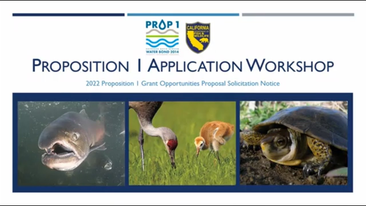 Proposition 1 Application Workshop - February 2, 2022