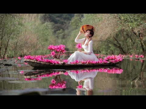 PINK WATER FOUNTAIN / Relax & Get Your Zen On / Pink Noise