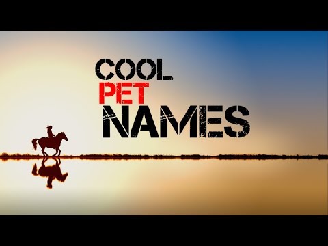 female horse names starting with e