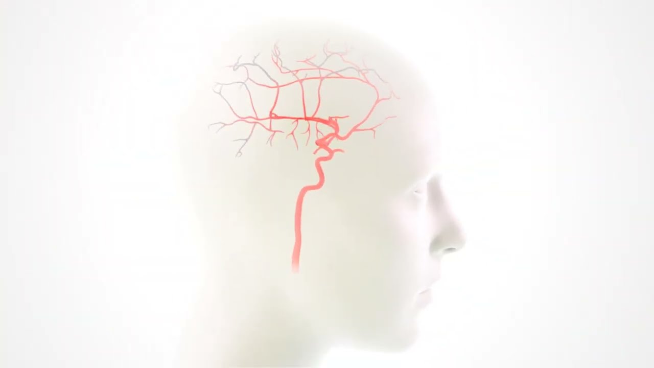 Zoom Stroke Solution Animation
