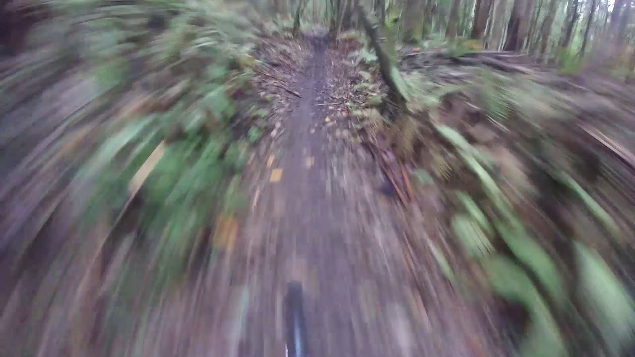 Esteiro trails
