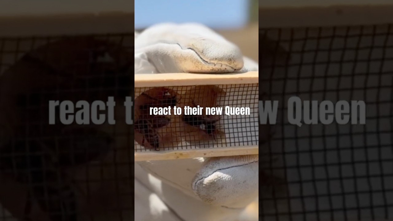 “Will They Except Her?”