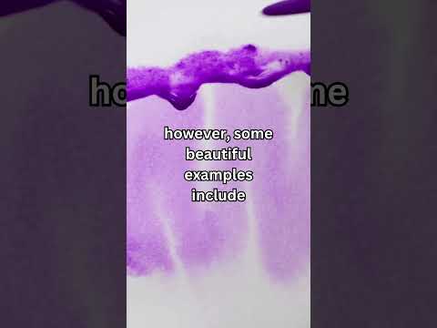 Dear Artists Do You Like The Color Purple? Its One Of My Favorite Colors But Not To Nature