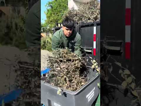 Brush Removal In Santa Rosa Ca | Yard waste removal | Brothers Junk Removal