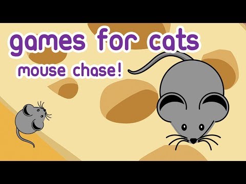 CAT GAMES - Videos for Cats entertainment catching Mice (mouse hunt)
