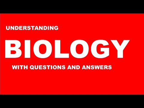 Understanding PHOTOSYNTHESIS with questions and answers
