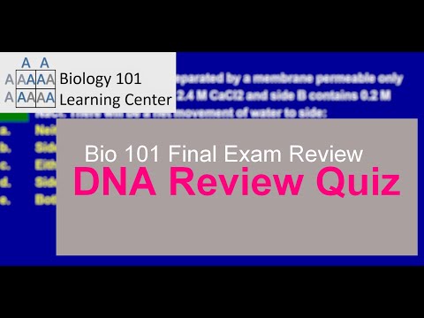 DNA Quiz Bio 101