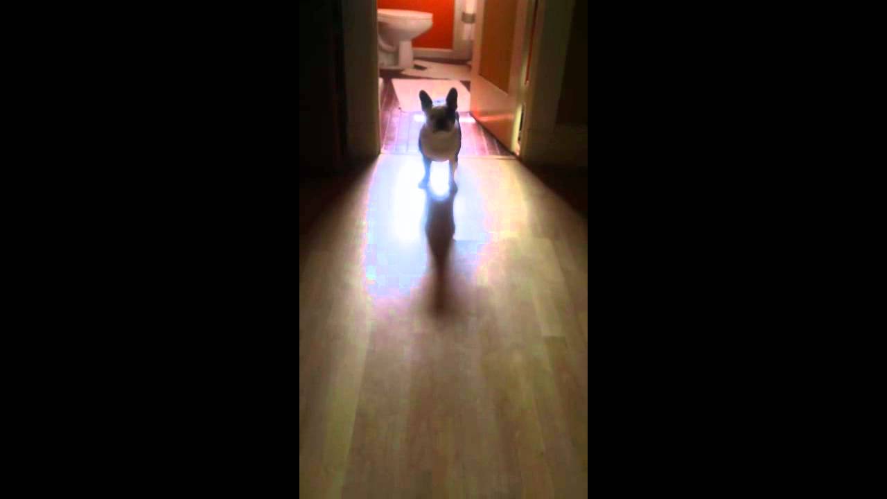 Hey Olive....bring it!
