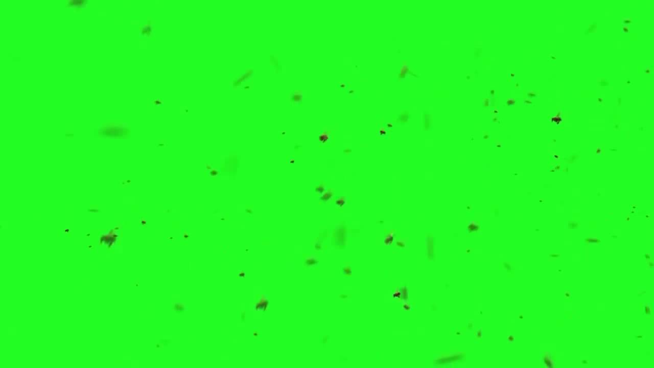 Bee Swarm   on green screen  1280x720MP4