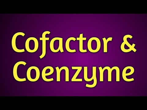 What are Cofactors & Coenzymes? Meaning of Cofactors &coenzymes. #cofactors #coenzyme #enzymes