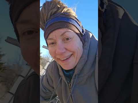 Caring for Pigs in Freezing Temps