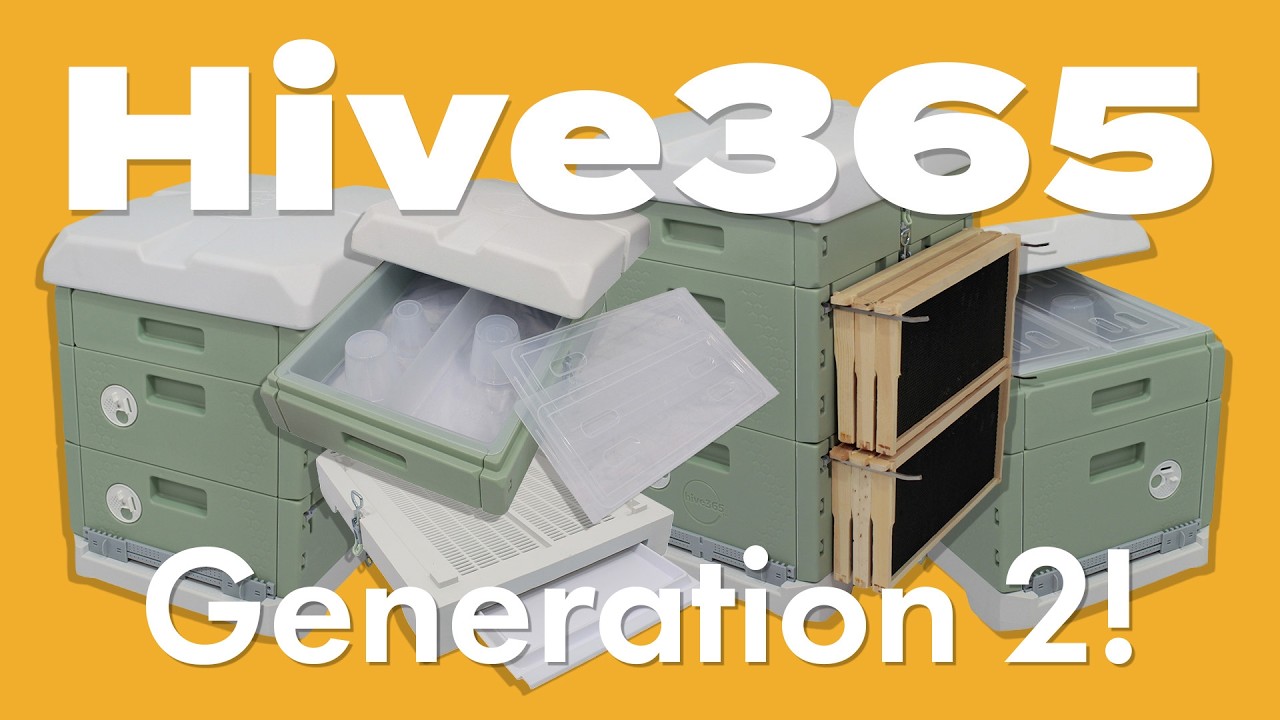🐝 Introducing the Hive365 – Second Generation 🐝