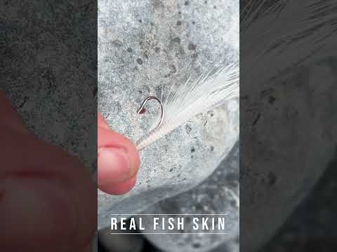 Varivas Sabiki- The BEST Mackerel Feathers Out There! #shorts #fishing
