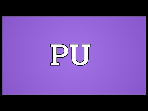 PU Meaning