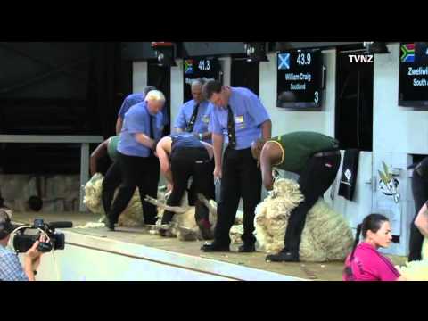 The Newshounds Report On March 10