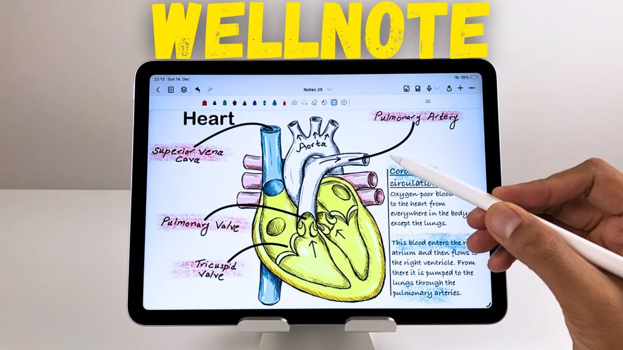 How to Take Notes on iPad Air M3 (2025) for Free | Wellnote App – 15 Powerful Features
