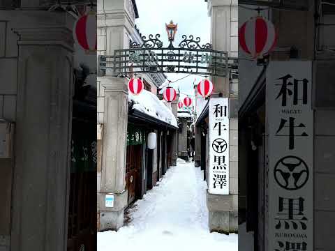 Sapporo 3 days 2 nights shortcut #japantravel #japan #httravel #sapporo #hokkaido
