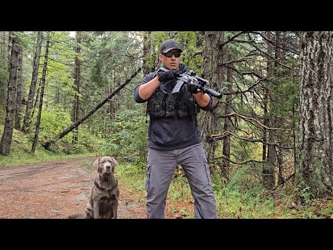 Kommando Store P84 Chest Rig