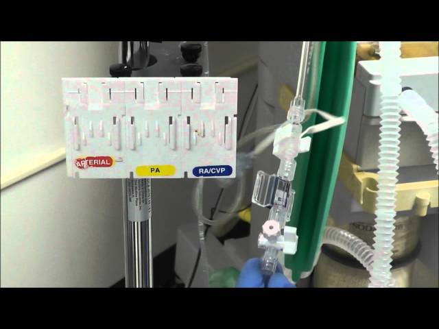 IBP Transducers - Pressure Monitoring Kit Trader - Wholesaler ...