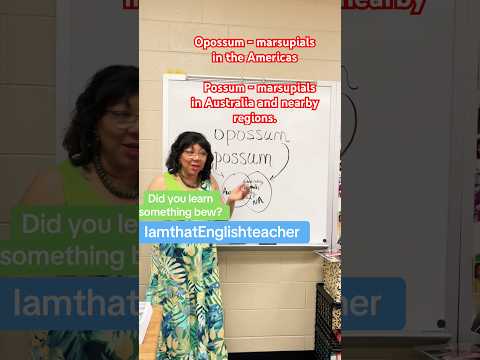 It’s an #opossum not a #possum - This will blow your mind. #grammareducator #teacher #grammar