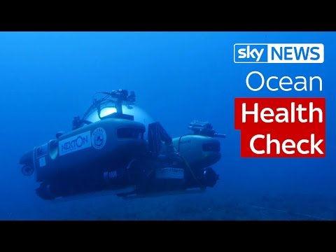Scientists Give The World's Oceans A Health Check