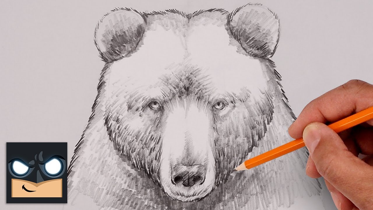 How To Draw a Grizzly Bear | 15 Minute Sketch Tutorial