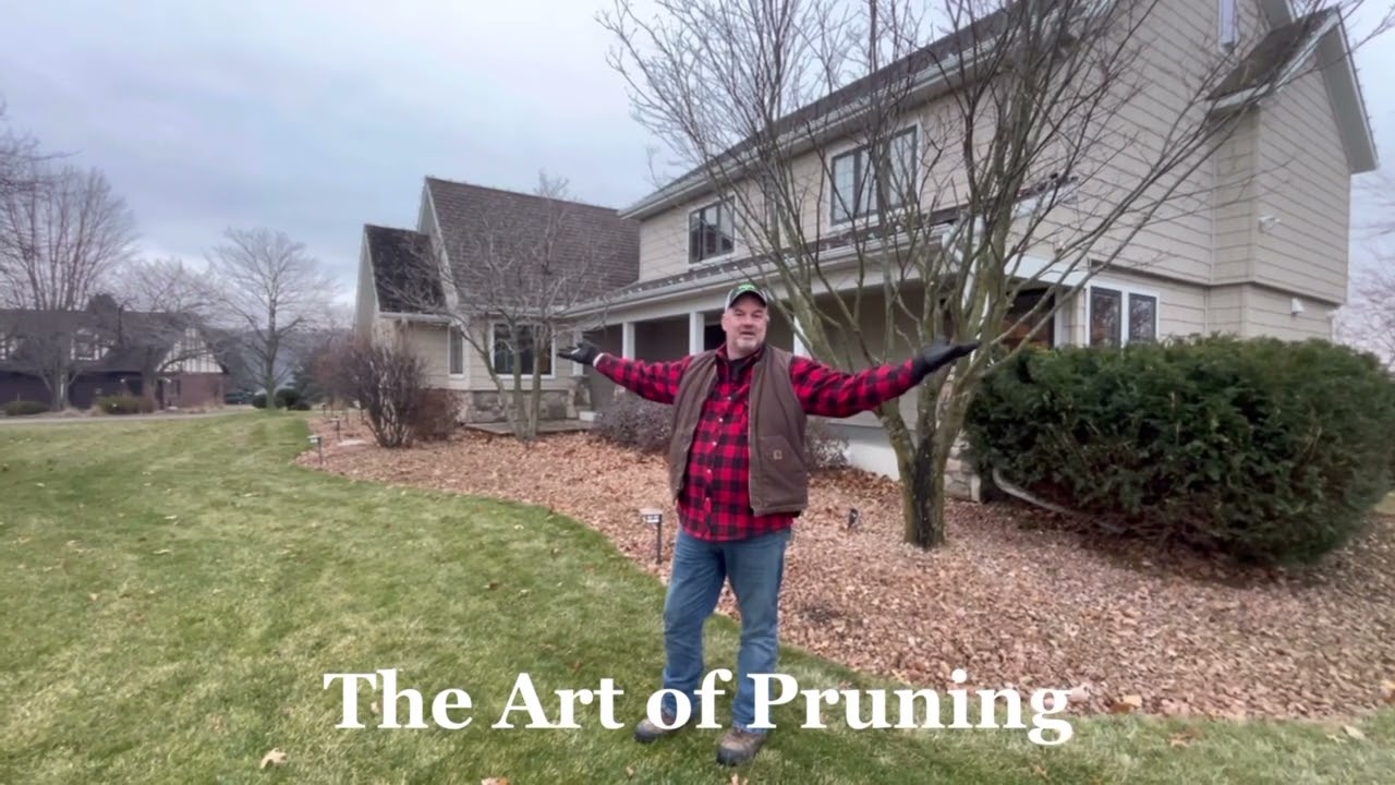 Stewardship Pruning: A Detailed Behind-the-Scenes Walkthrough