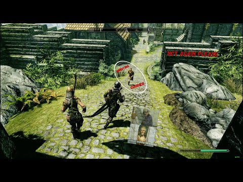 Steam Community :: Video :: Skyrim our beloved couriers