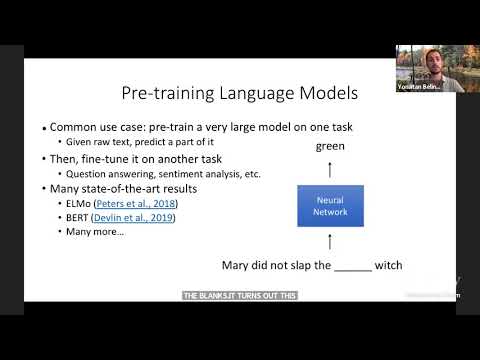 Interpreting Natural Language Processing Models