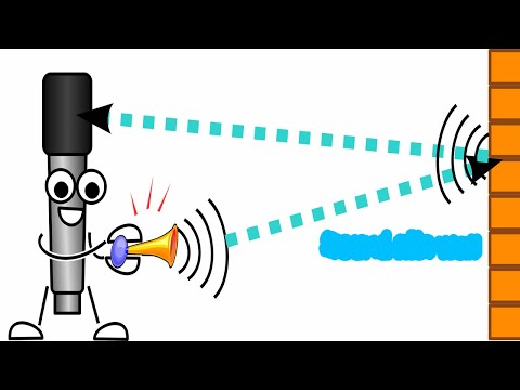 American Sign Language ASL Video Dictionary - echo