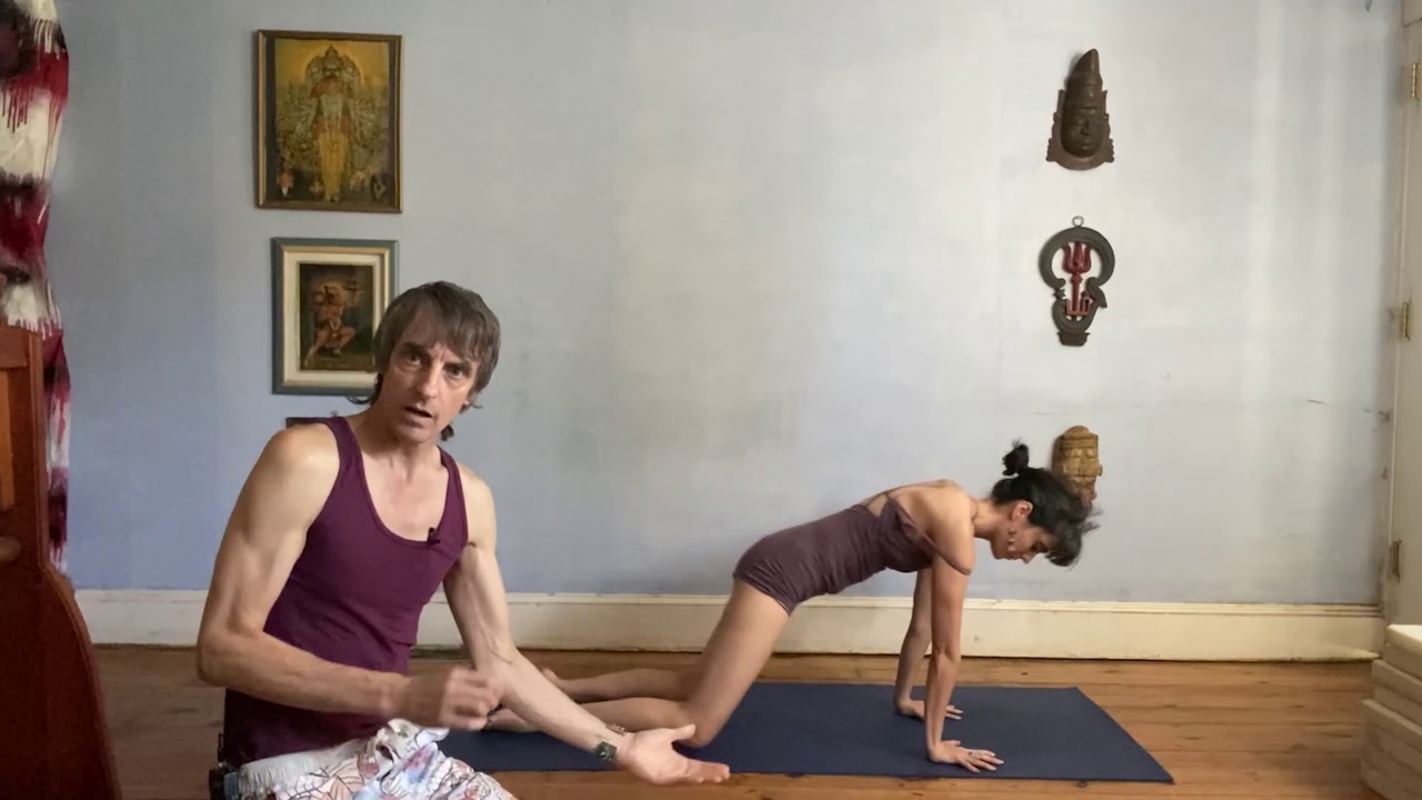Asana Kitchen: Upward Facing Dog Encyclopedia with David Garrigues