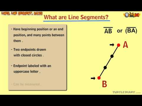 Every Type of Line Segment *EXPLAINED* Math for Kids
