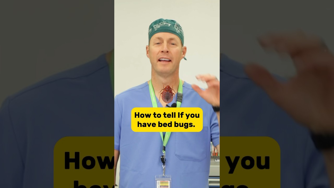 Why you might have bed bugs #shorts