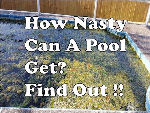 Nastiest Green Algae Swimming Pool Water EVER Cleared Up - Unbelievable Results