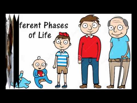 Retirement Wishes Clips Compilation/Collection Video