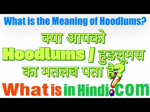 What is the meaning of Hoodlums in Hindi | Hoodlums ka matlab kya hota hai