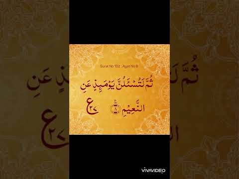 surah Takasur Ayat # 8
