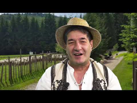 MUIA UNGARIA! MUIE BOZGORILOR! – Veghe Patriei