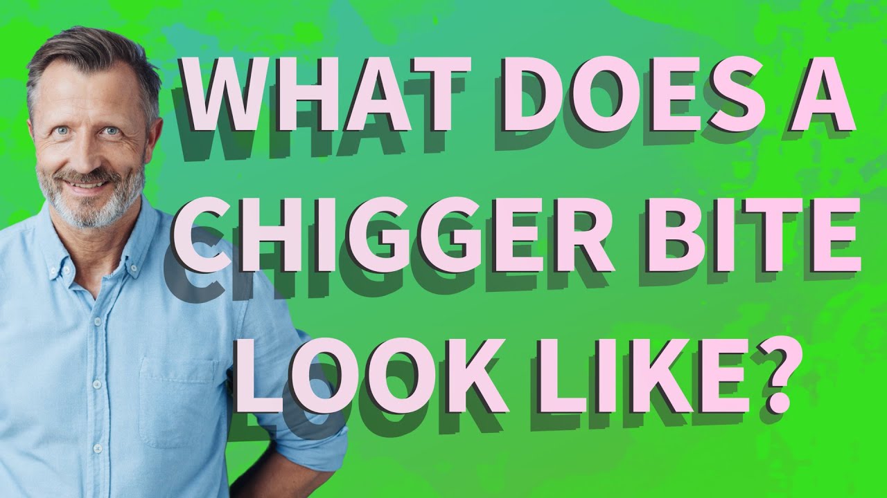 What does a chigger bite look like?