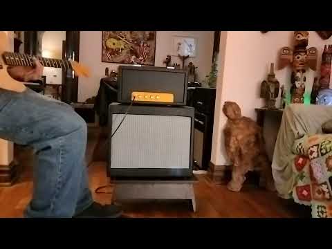 18 Watt Combo Matchless Spitfire Clone | Reverb