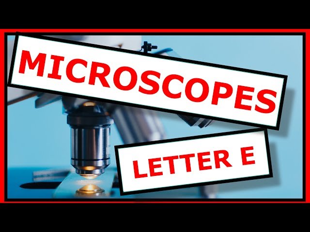 Understanding the Letter E Slide: A Microscope Demonstration | Galaxy ...