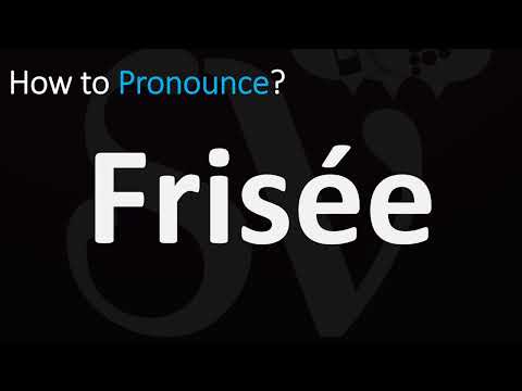 How to Pronounce Frisée Salad