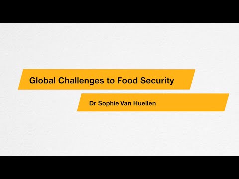 Global Challenges to Food Security Summer School | SOAS University of London