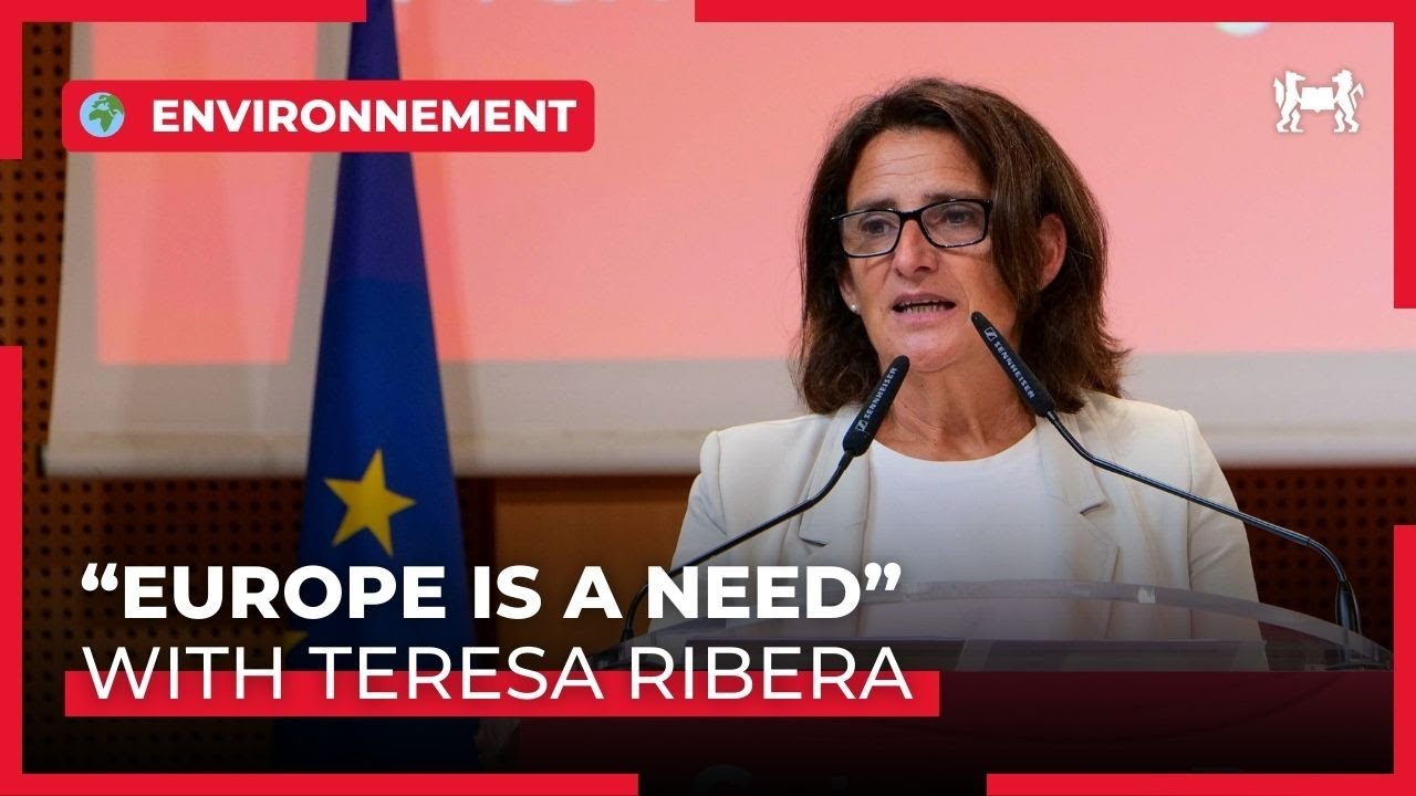 Israel Calls EU’s Ribera ‘Hamas Mouthpiece’ After Genocide Accusation ...