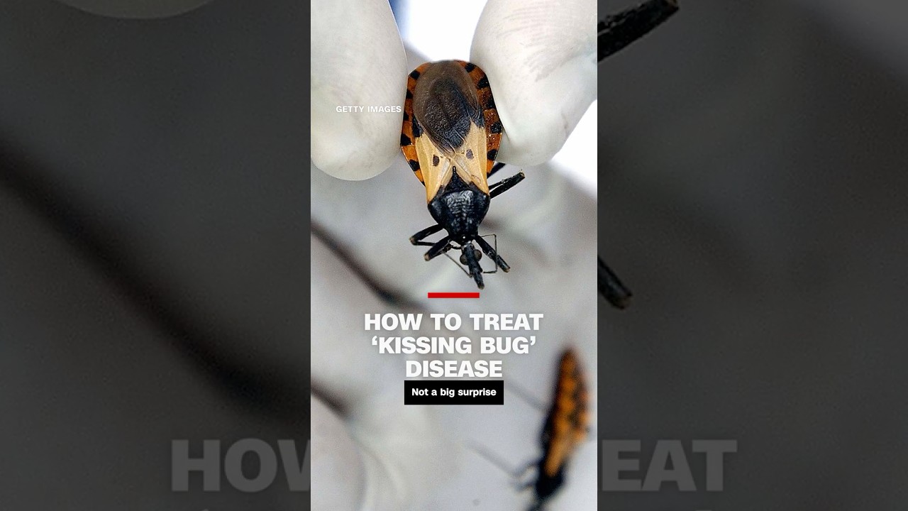 How to diagnosis and treat ‘kissing bug’ disease