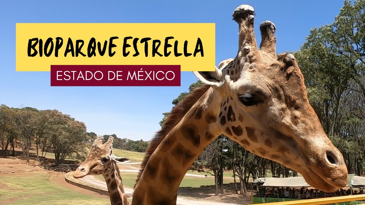 Estrella Biopark - State of Mexico, Mexico 🌎🚗✈️
