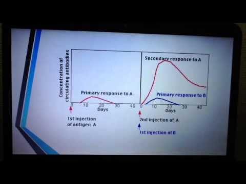 Memory cell response
