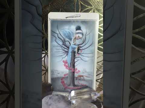 Aquarius- The Daily's - June 17, 2023 - Tarot Insights
