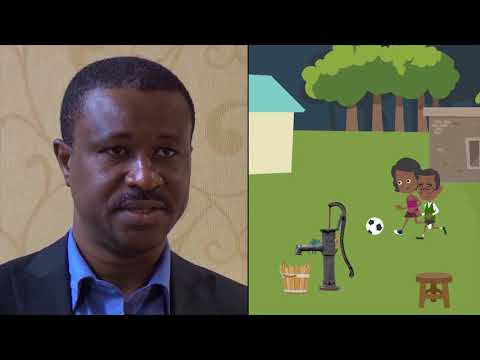 DHIS 2 - A Workhorse for Health Information